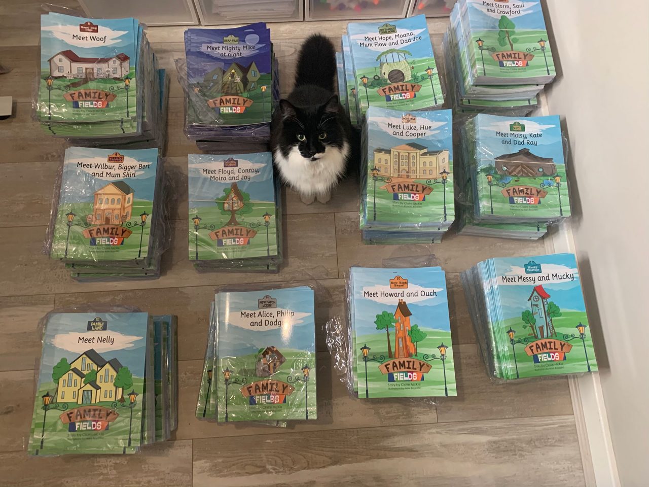 Power Phonics Books | About Us | PowerPhonicsBooks.com